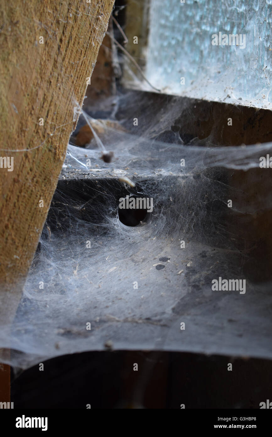 Clear centre circle of a spider's web in a deserted building Stock ...