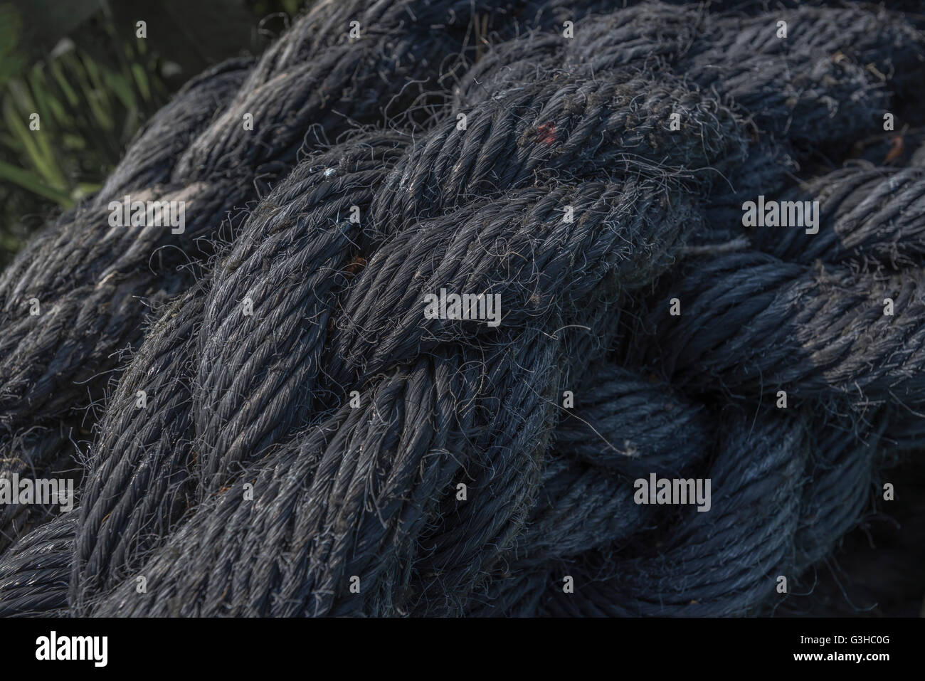 Intertwined rope hi-res stock photography and images - Alamy