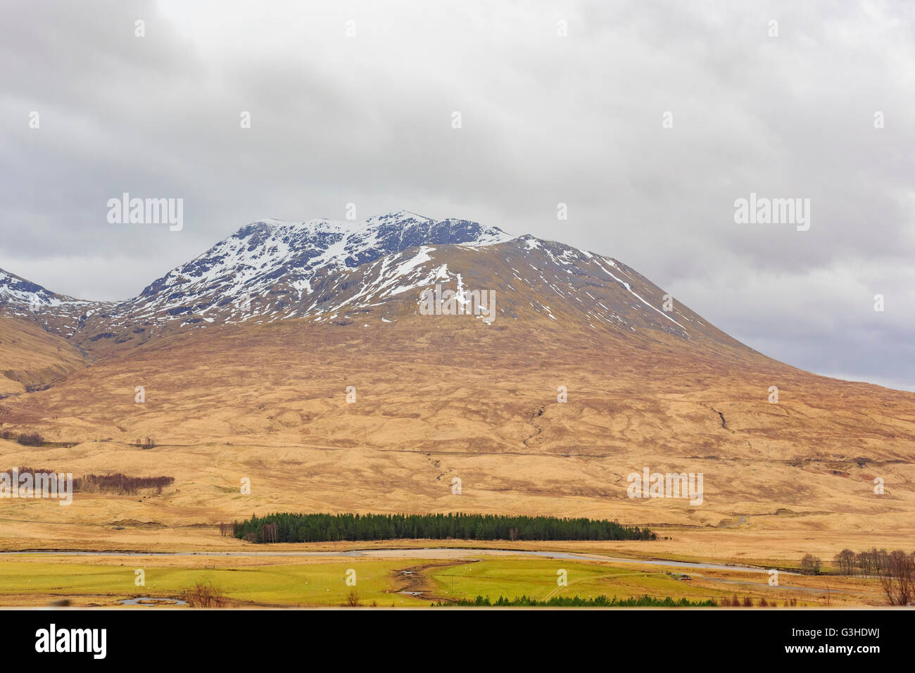 Beautiful country side view with mountain at Highland, Scotland Stock ...