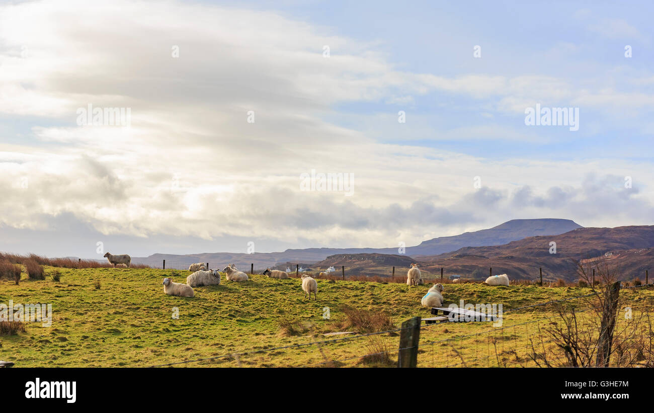 Beautiful country side landscape around Boreraig Stock Photo - Alamy