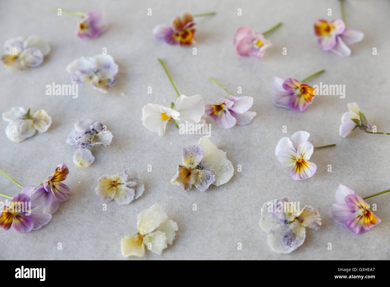 Crystallized and fresh edible flowers on parchment paper Stock Photo ...