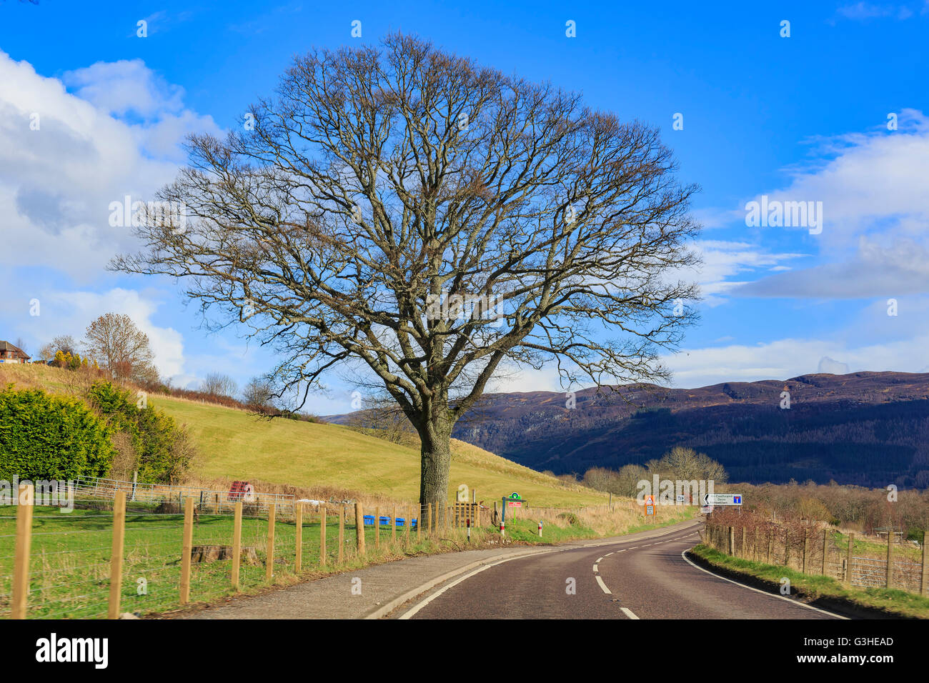 Beautiful country side view with road and tree at Highland, Scotland ...