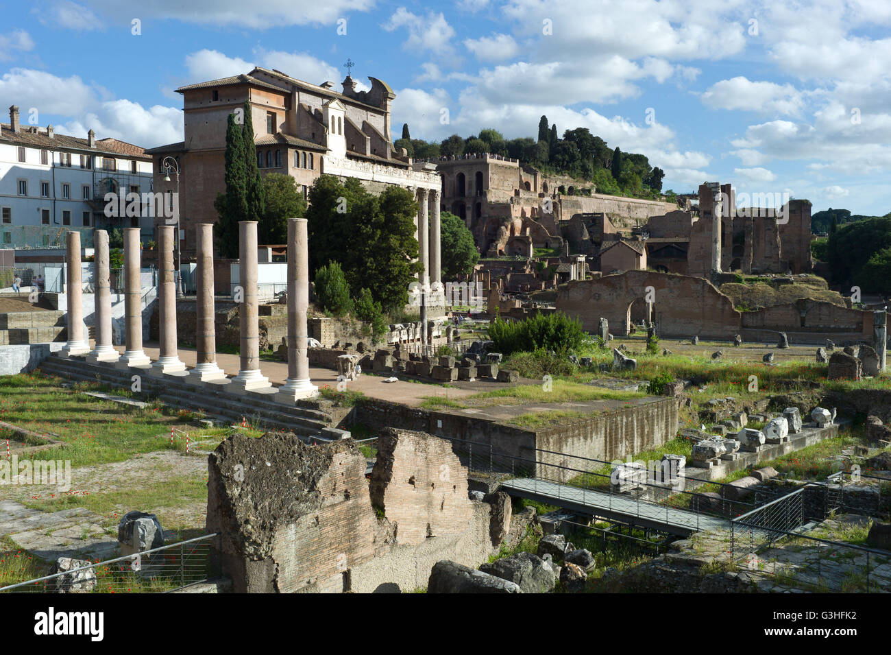 The Forum Rome Italy Stock Photo - Alamy