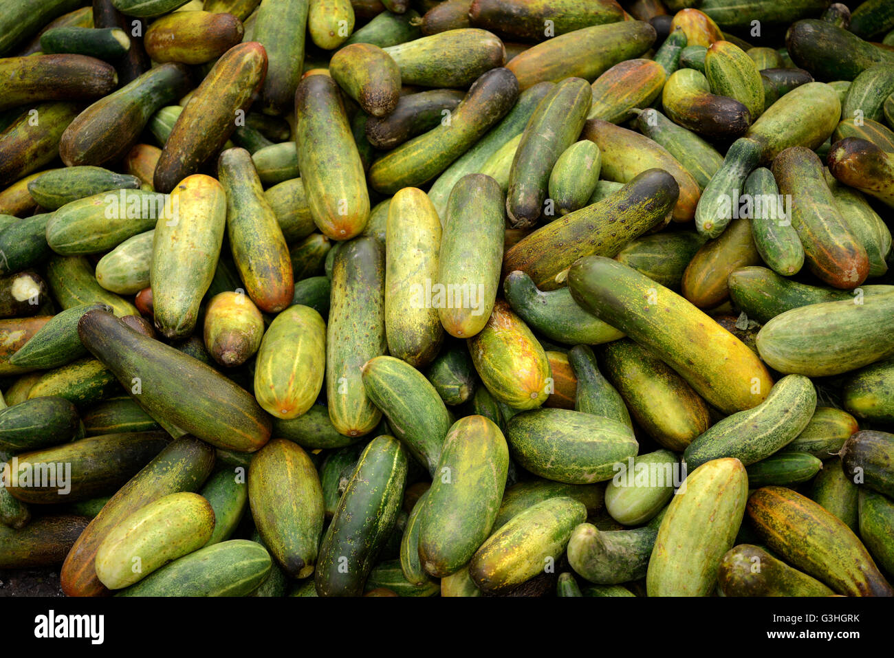 Pile of cucumbers at a market Stock Photo - Alamy
