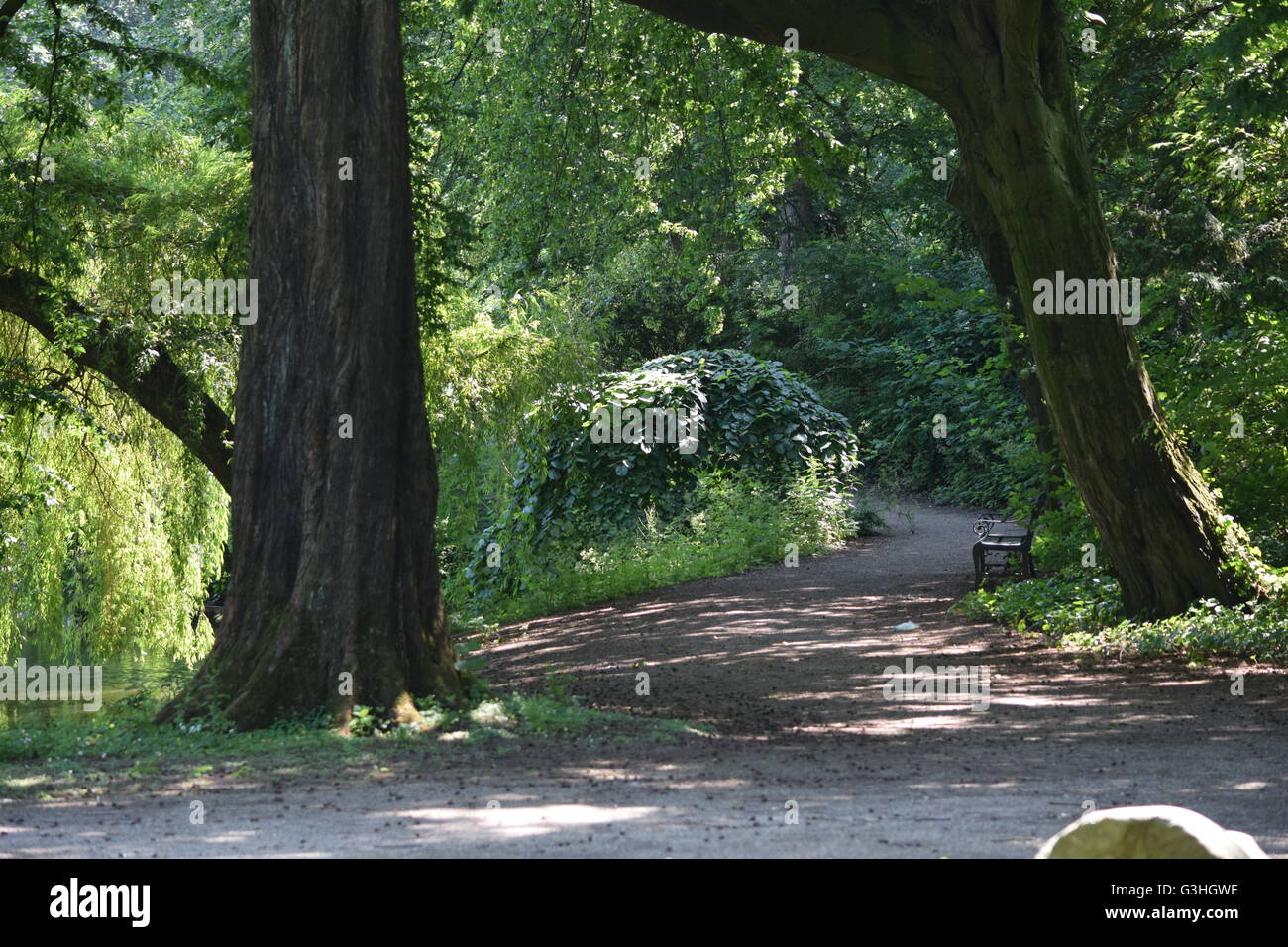 Shady pathway hi-res stock photography and images - Alamy
