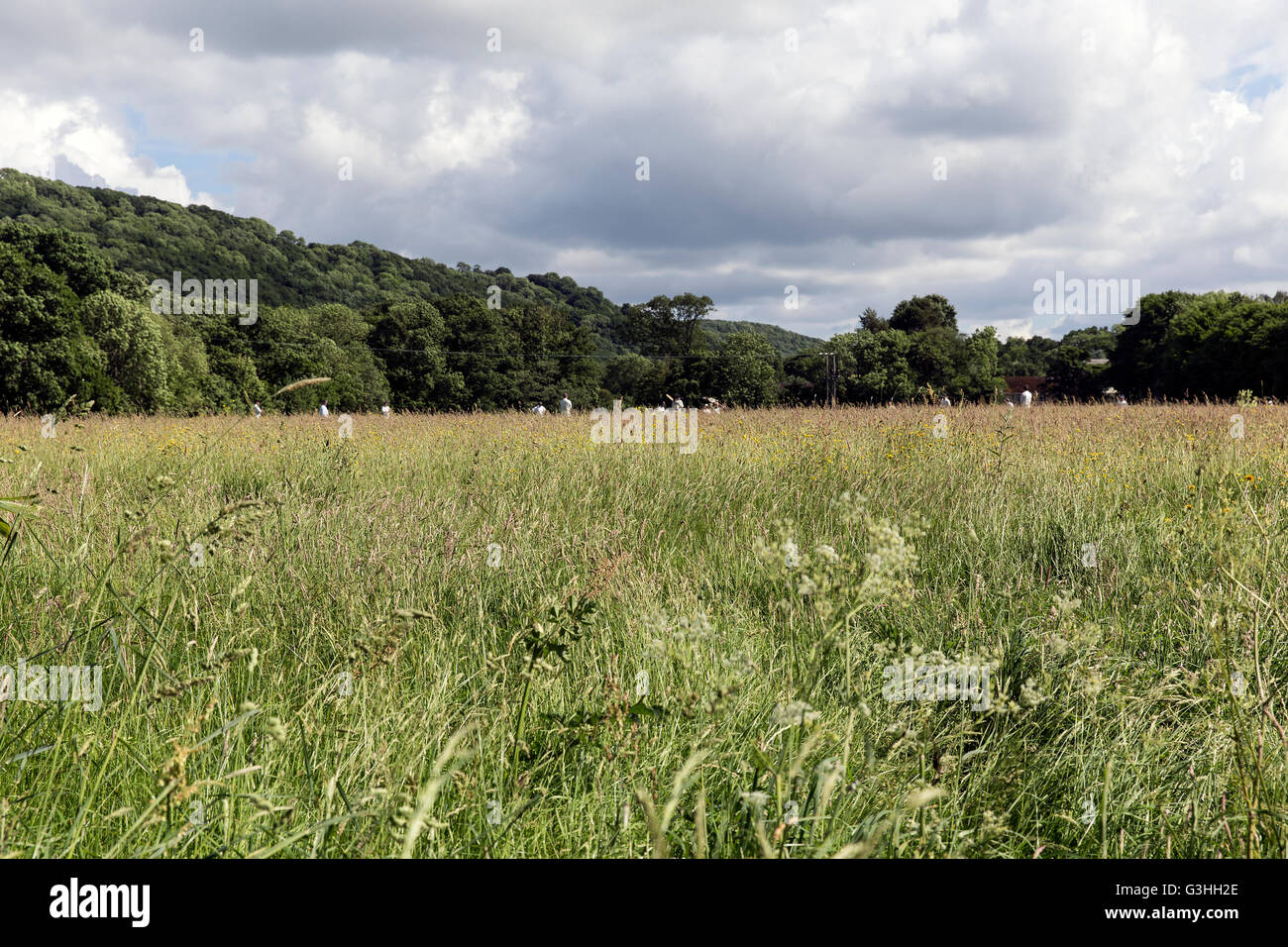 village cricket,kick something into the long grass,cricket, green ...