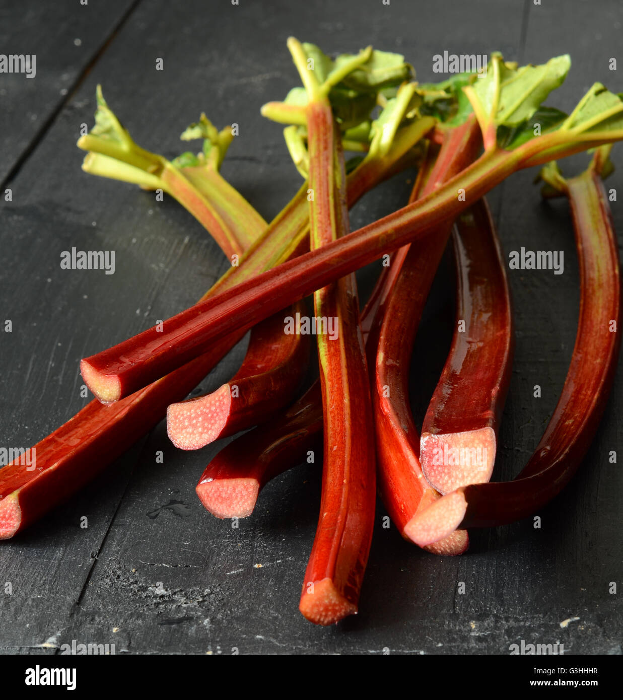 Bunch of fresh picked organic rhubarb stalks Stock Photo - Alamy
