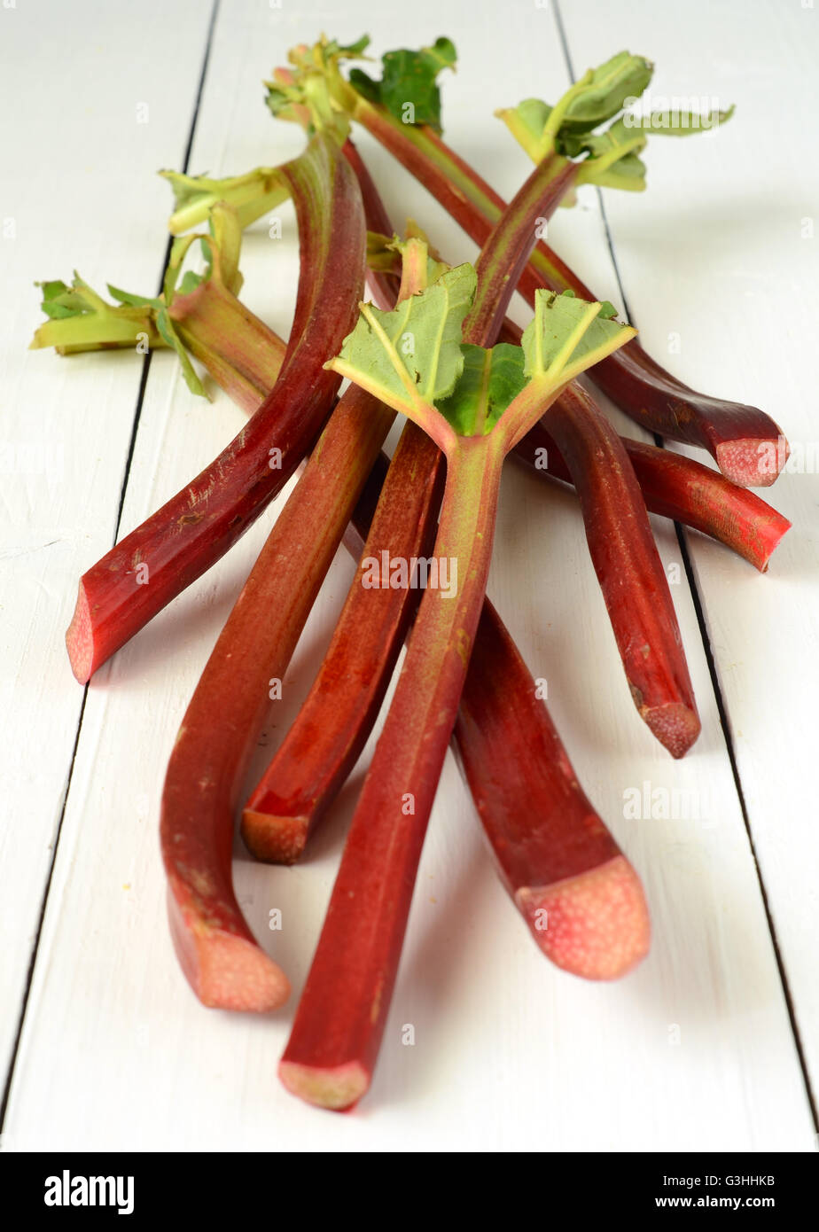 Bunch of fresh picked organic rhubarb stalks Stock Photo - Alamy