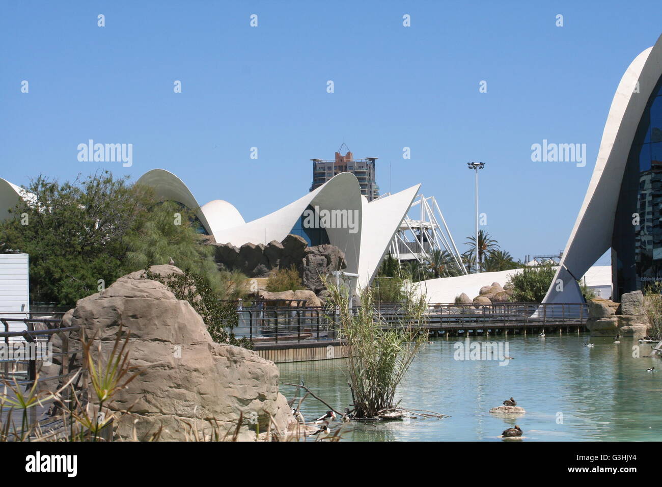 The aquarium of Valencia Stock Photo - Alamy