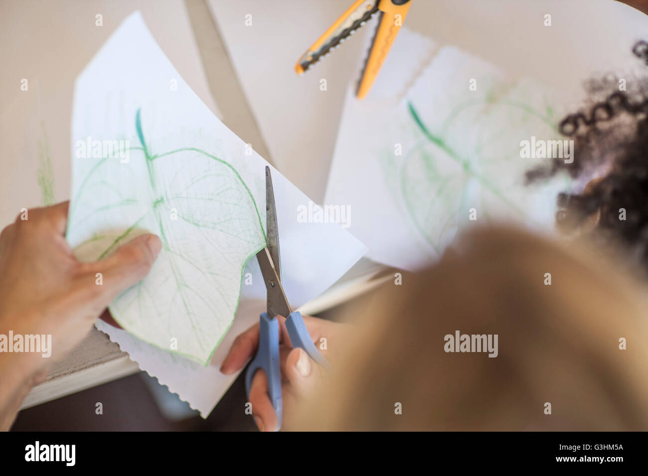 Mid adult woman using scissors to cut our leaf shape, overhead view ...
