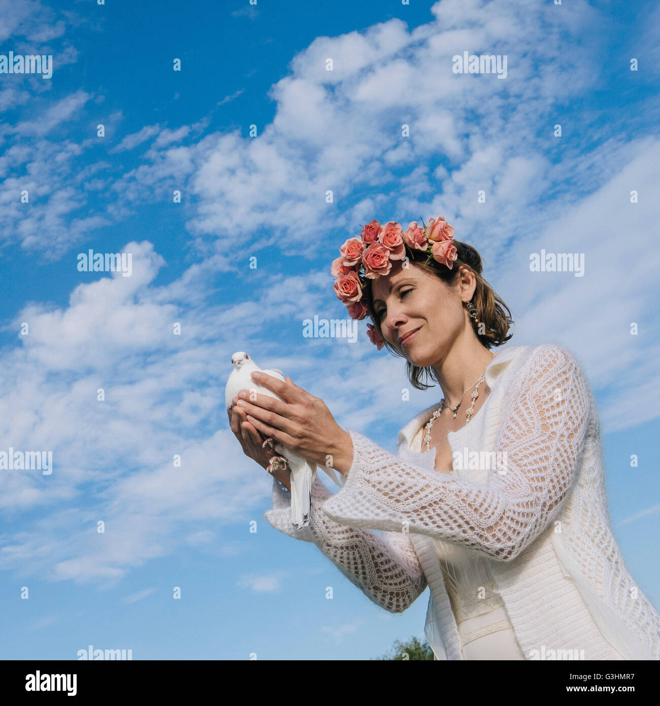 Calm dove hi-res stock photography and images - Alamy