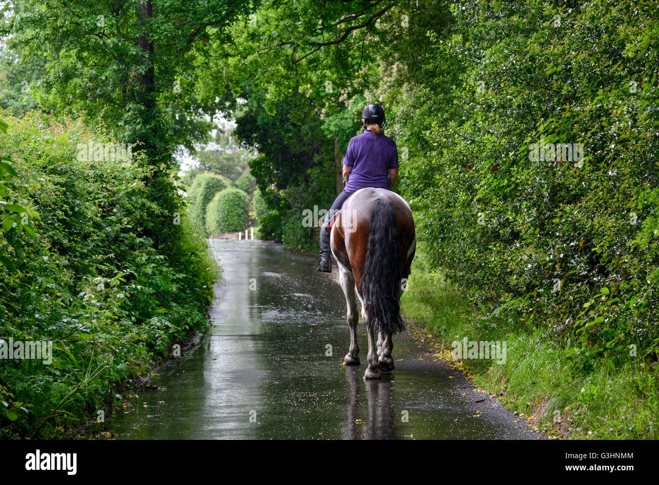 Horse rider on a country lane on a rainy summer day. The wet tarmac ...