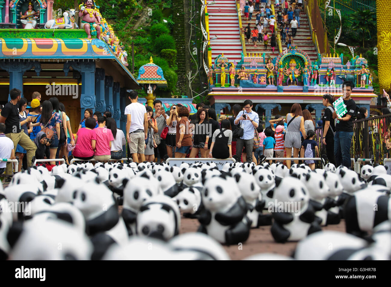 Family and friends visit the 1600 Pandas campaign at Batu Cave ...