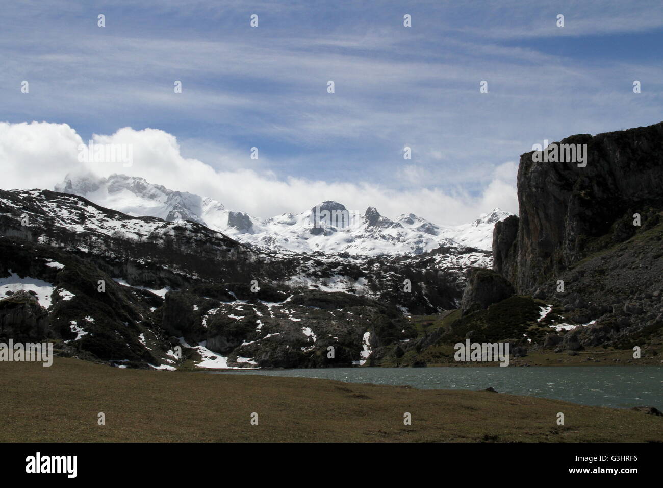 Picos de europa spring flowers hi-res stock photography and images - Alamy