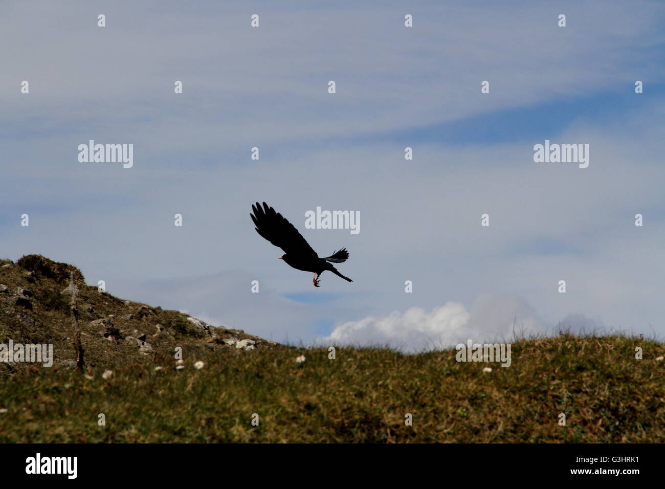 Asturias, Spain. 13th Apr, 2016. Spring in the national park of Picos ...