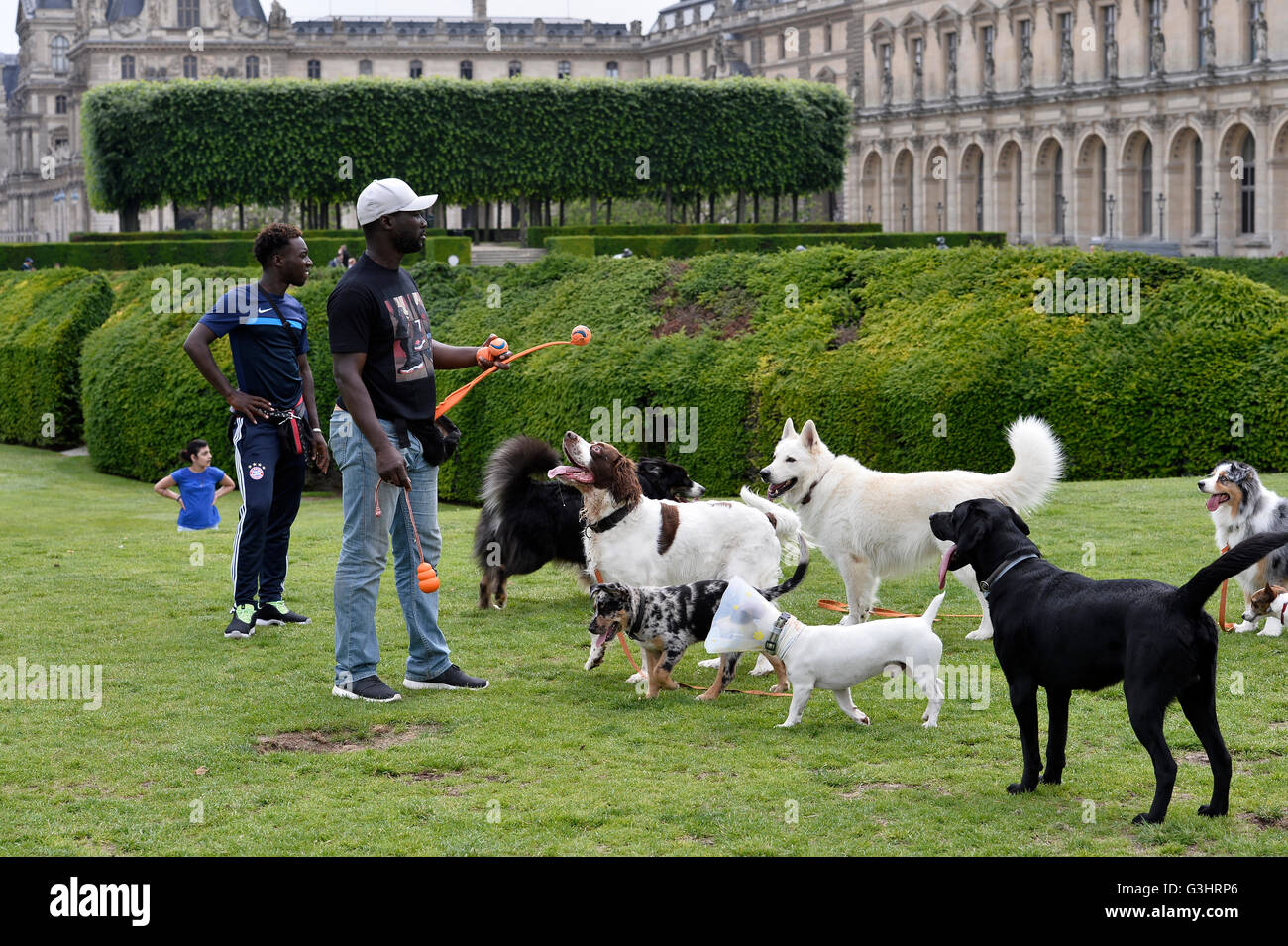 Paris dogs tuileries hi-res stock photography and images - Alamy