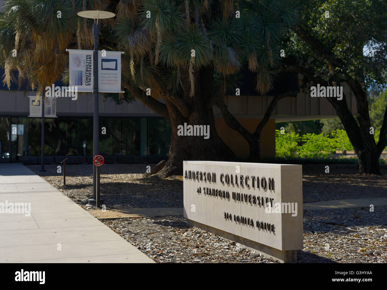 The Iris and B. Gerald Cantor Center for Visual Arts, Stanford ...