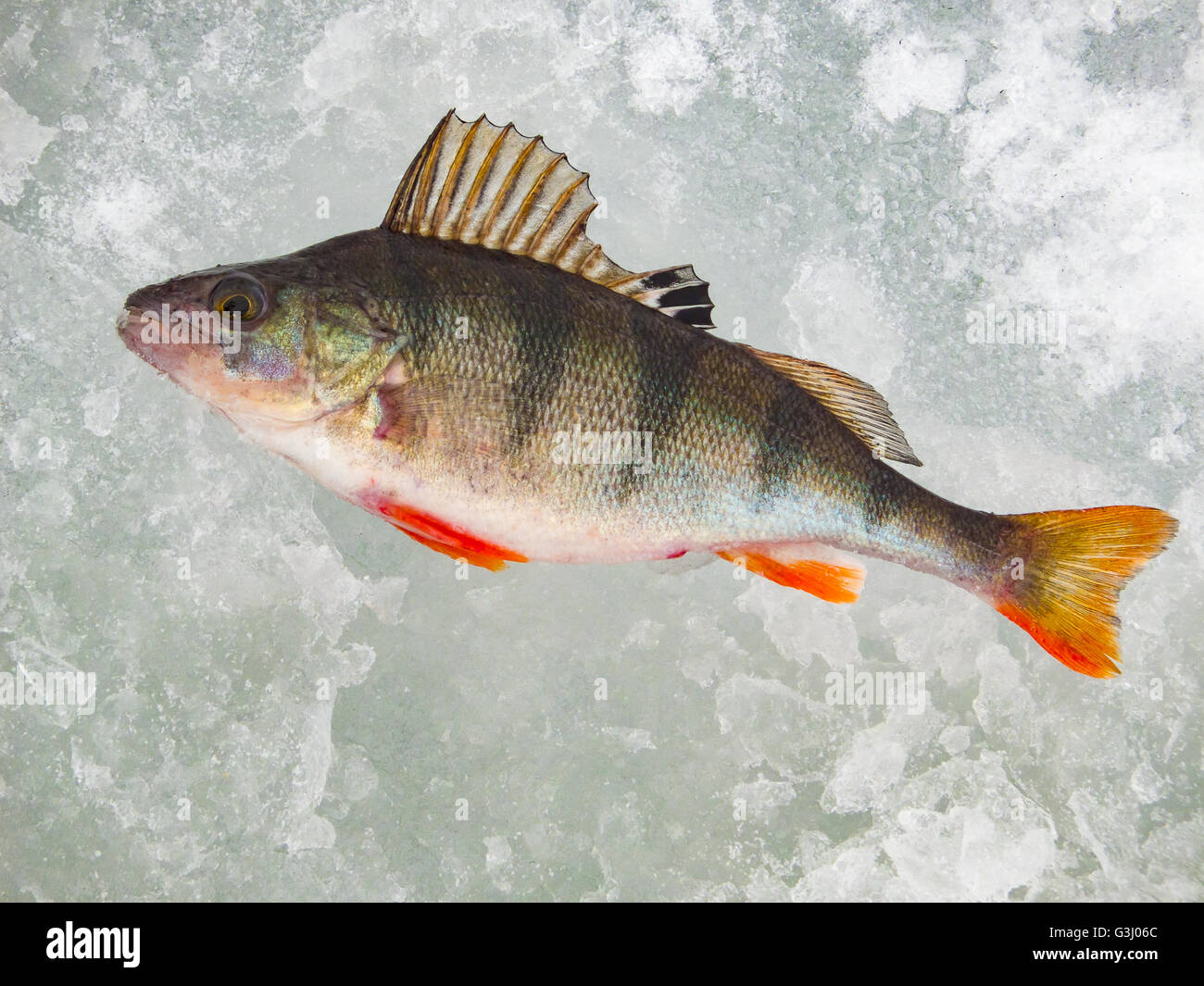 Ice fishing in russia hi-res stock photography and images - Alamy