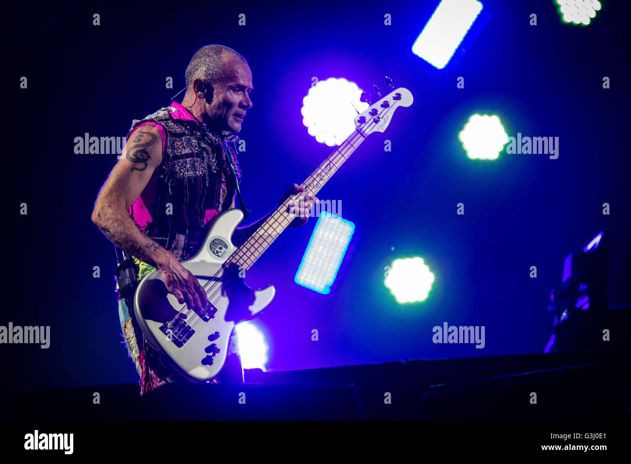 Flea of the american funk rock band Red Hot Chili Peppers pictured on ...