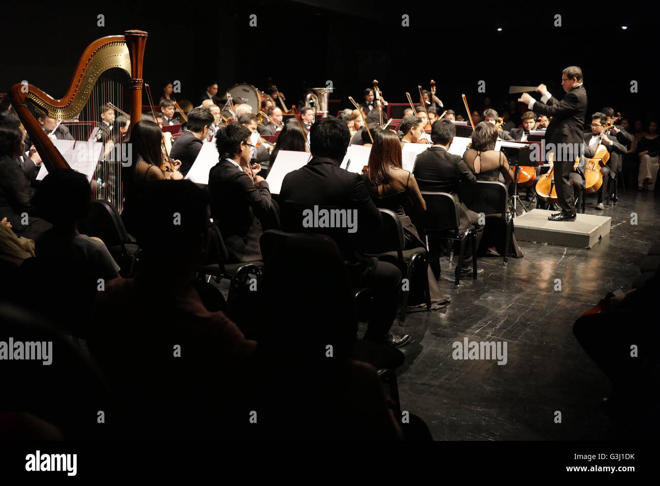 Symphony orchestra 19th century hi-res stock photography and images - Alamy