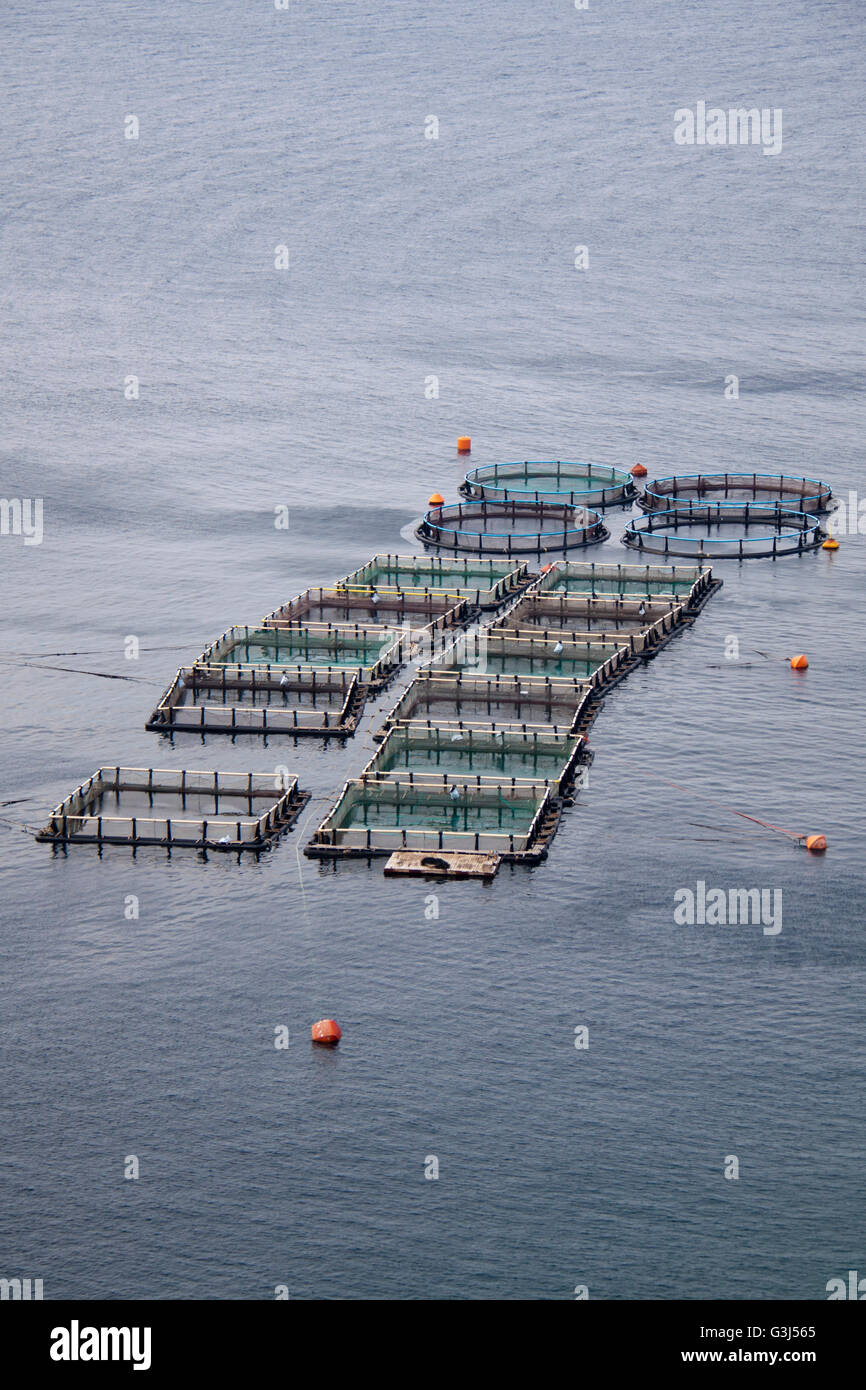 Aquaculture fisheries fish farming hi-res stock photography and images ...