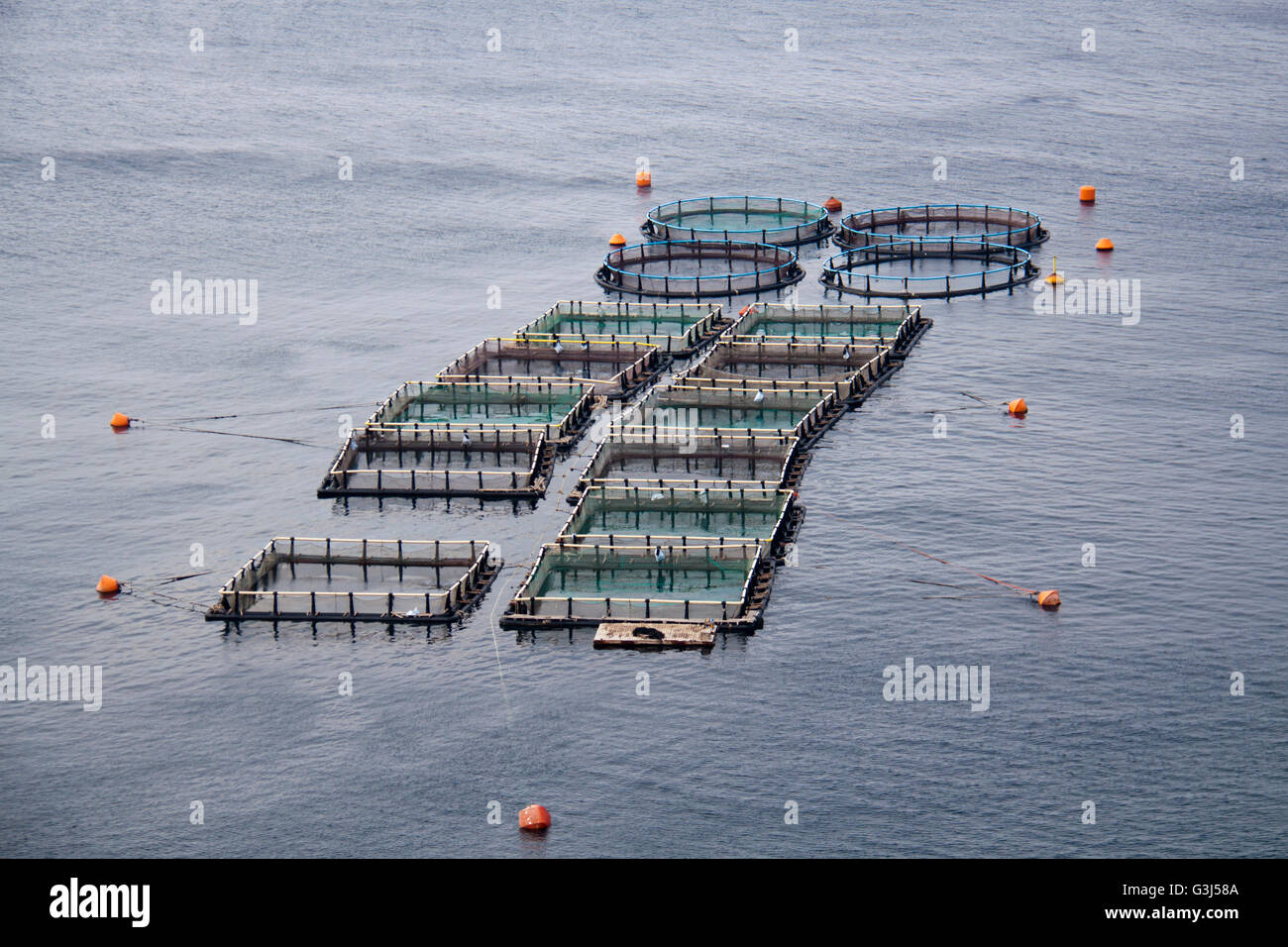 Aquaculture and fisheries hi-res stock photography and images - Alamy