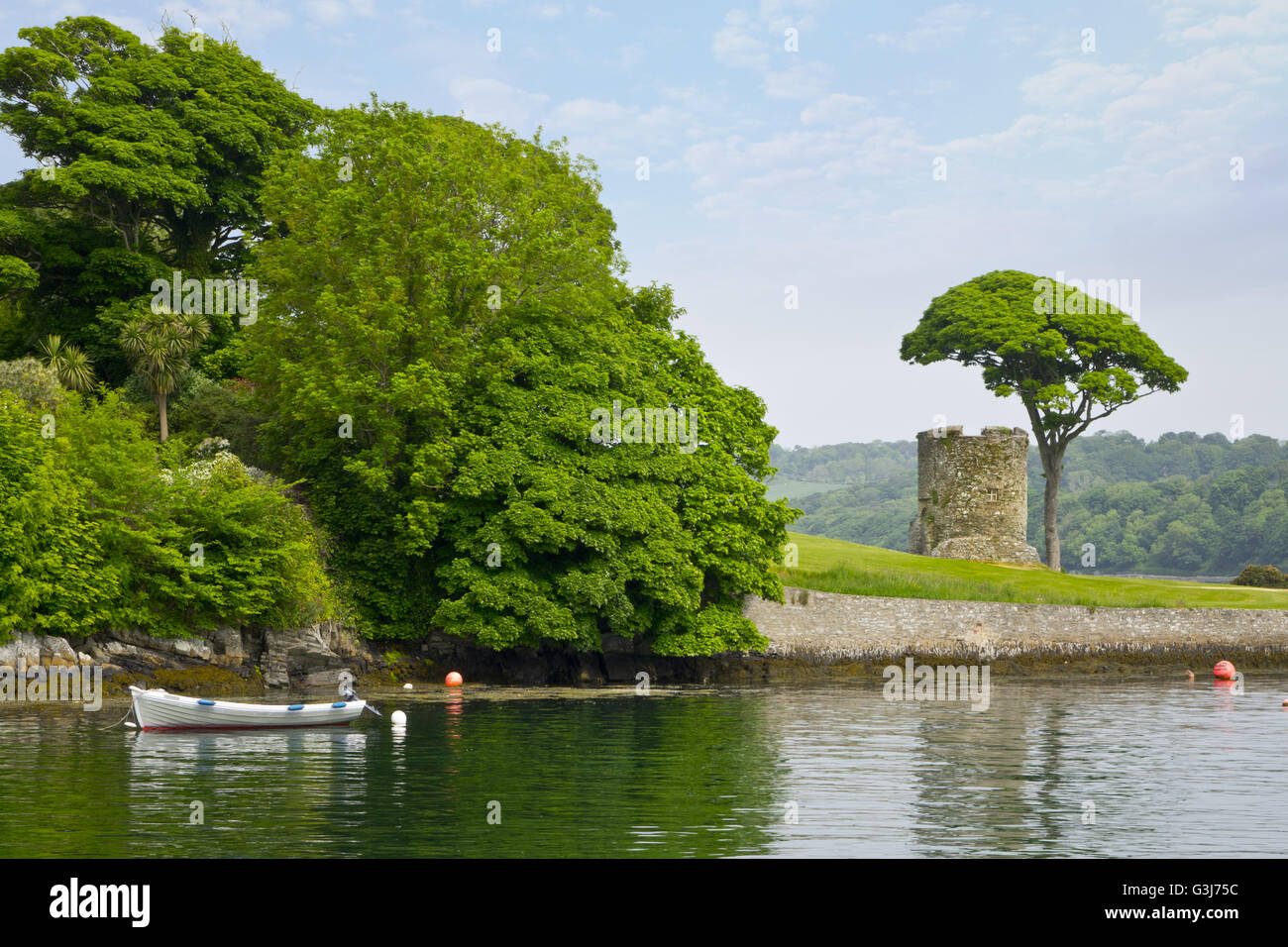 Strangford village Strangford Lough Stock Photo - Alamy
