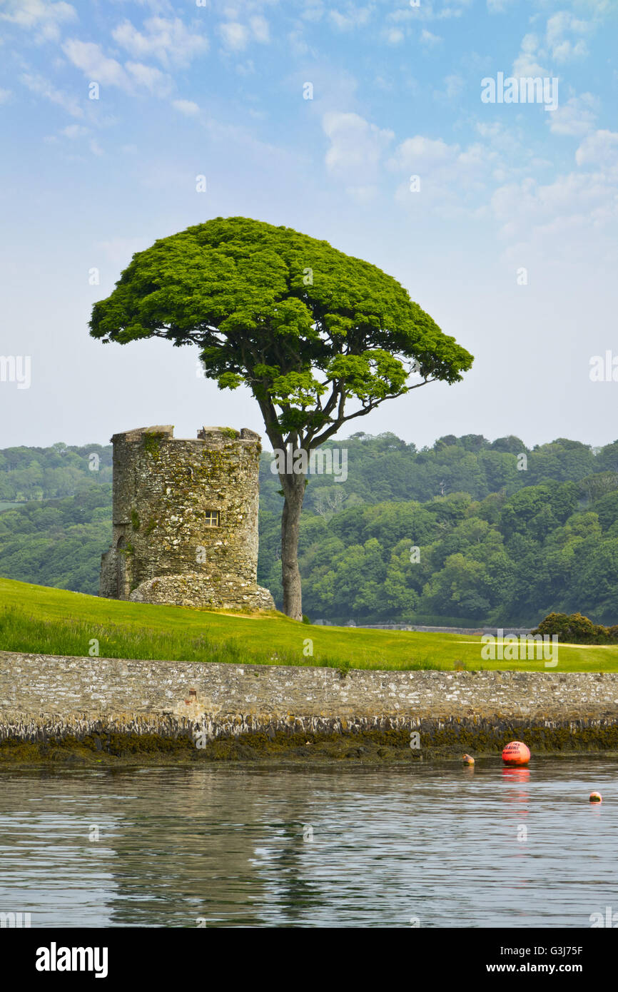 Strangford village Strangford Lough Stock Photo - Alamy