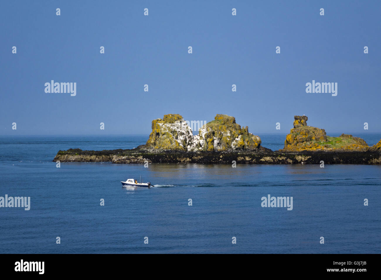 Island of muck hi-res stock photography and images - Alamy