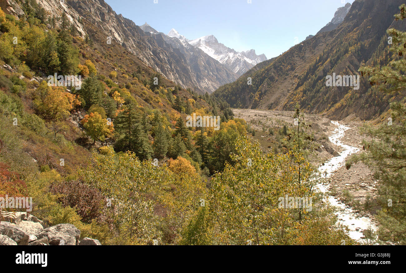 Gangotri National Park and trekking trail to Gaumukh, the source of ...