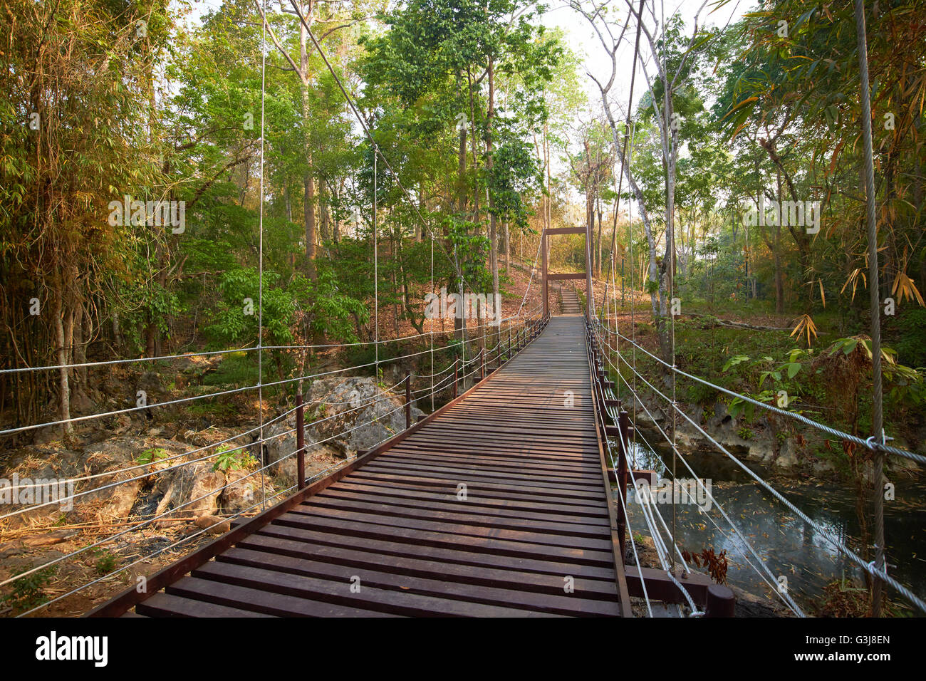 bridge over the river forest Stock Photo - Alamy