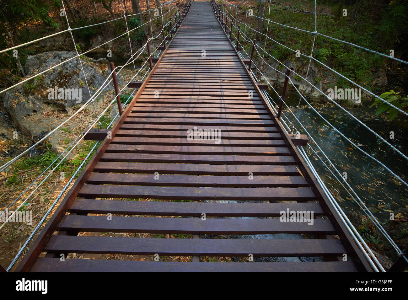 bridge over the river forest Stock Photo - Alamy