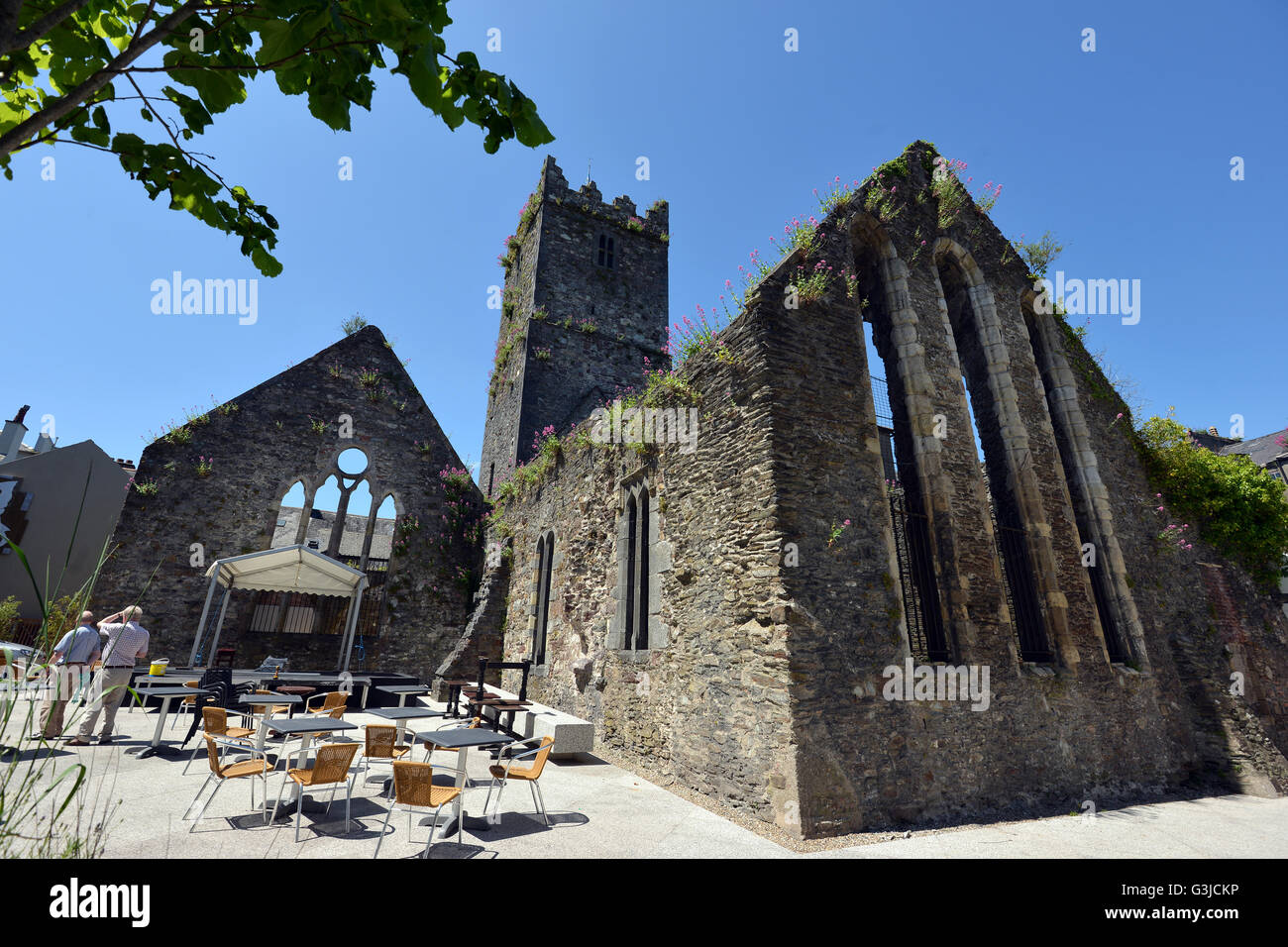 Ruins of Greyfriars church Waterford, Munster, Ireland Stock Photo - Alamy