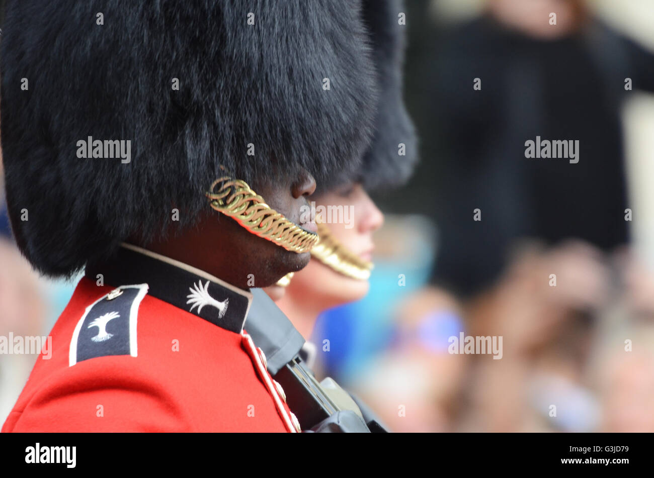 Welsh Guards soldiers at Trooping the Colour 2016. Black and white ...