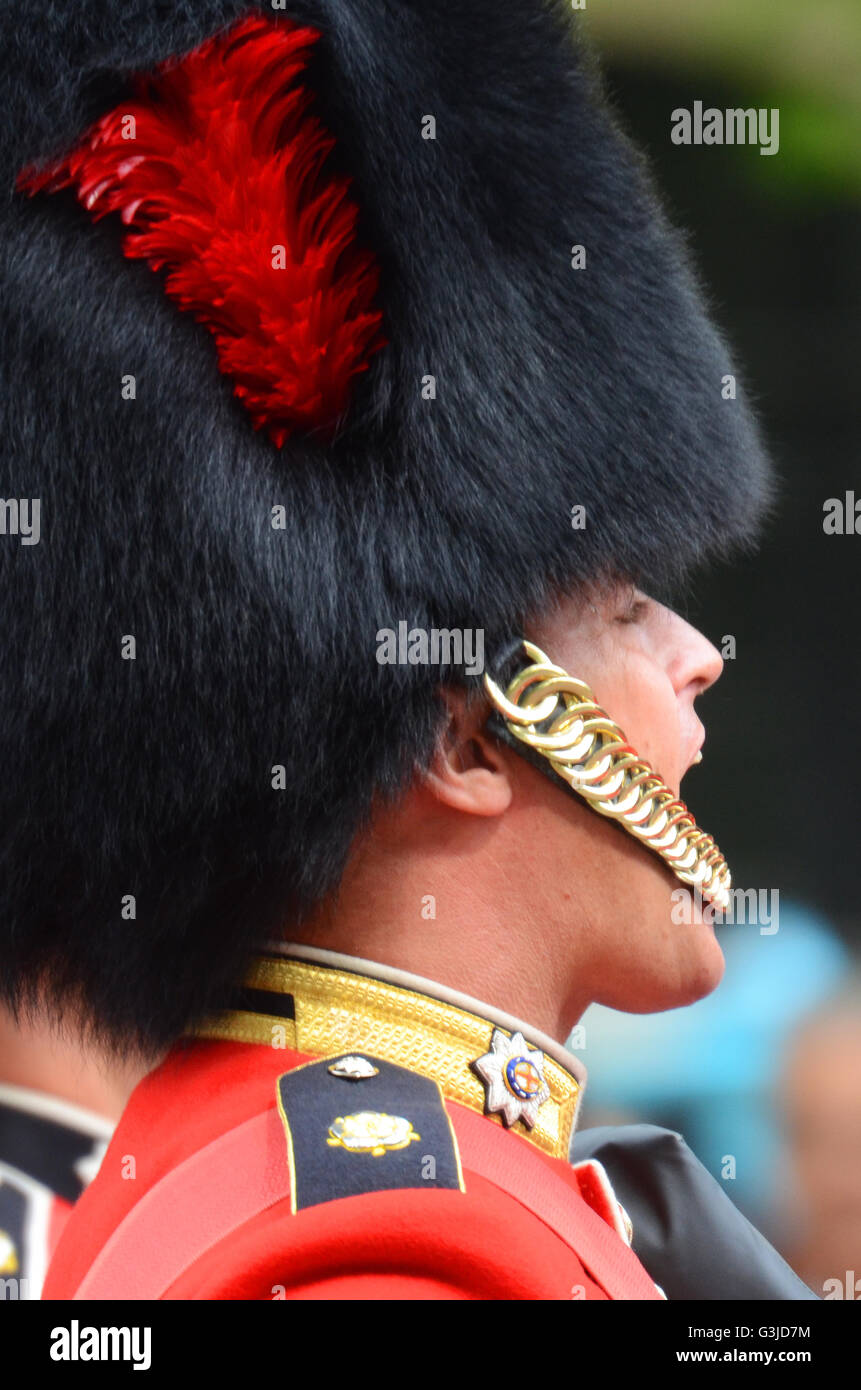 Coldstream guardsman hi-res stock photography and images - Alamy