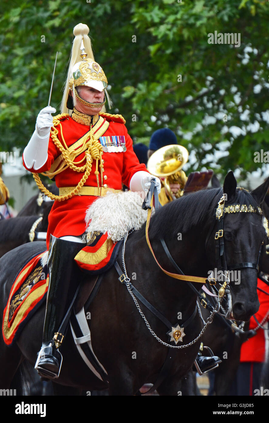 Major Craig Hallatt. Trooping the Colour 2016. Director of music ...