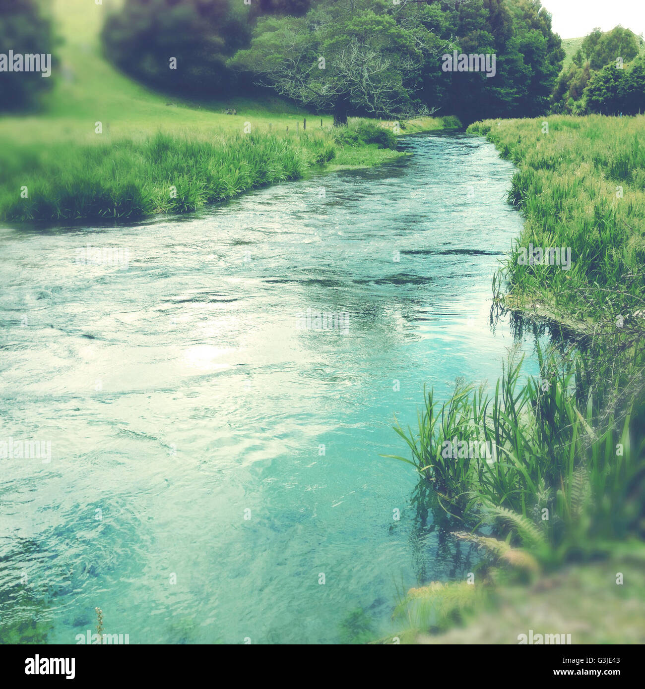 Pure clean spring water stream Stock Photo - Alamy