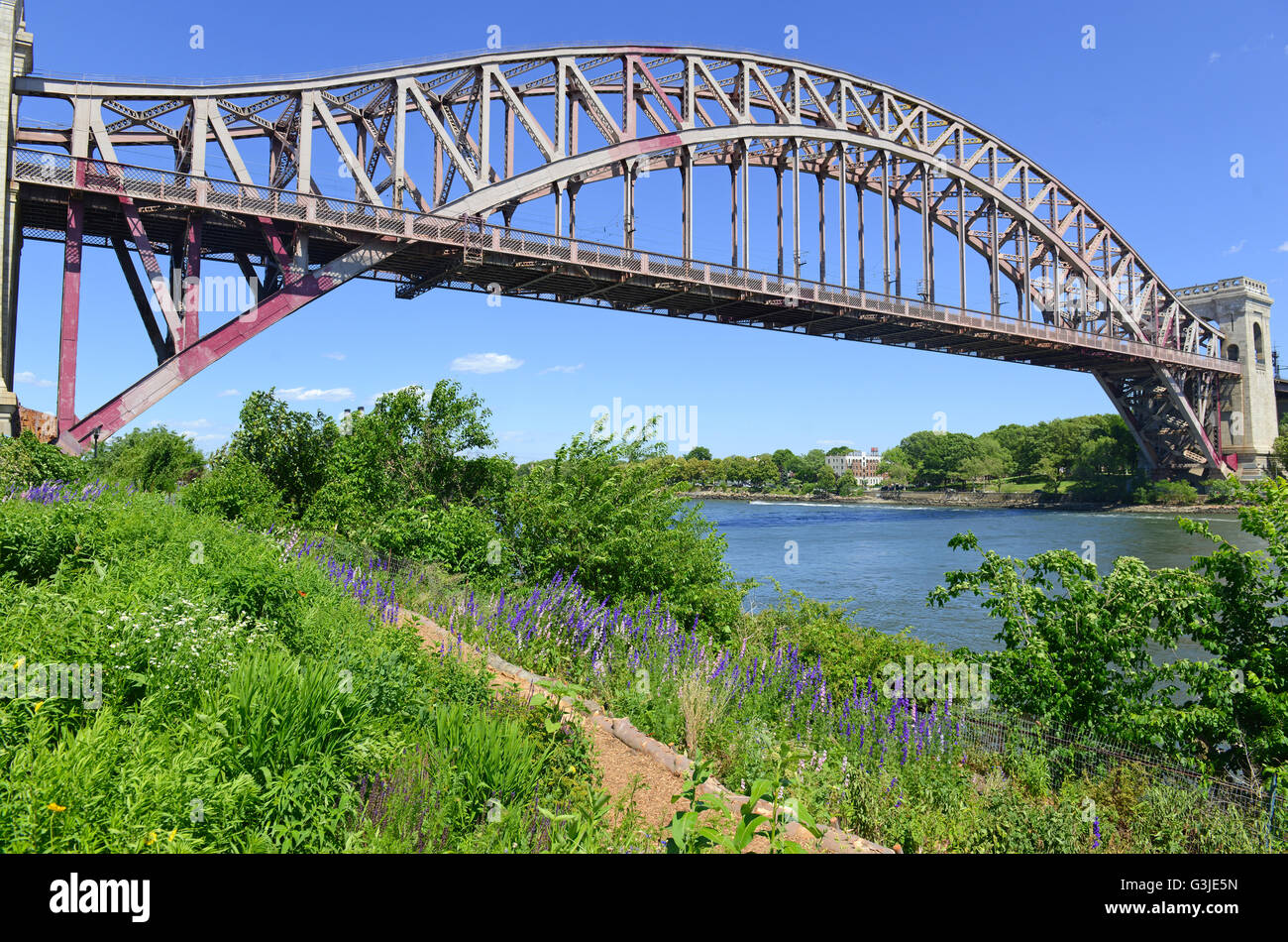 The Hell Gate Bridge (East River Arch Bridge) in New York City i Stock ...