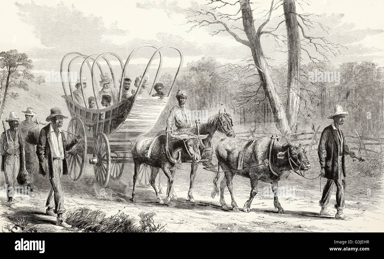 Slave camp hi-res stock photography and images - Alamy