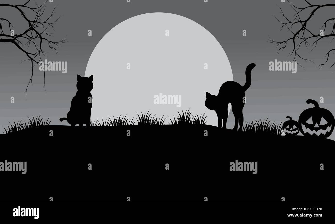 Halloween cat silhouette and moon Stock Vector Image & Art - Alamy