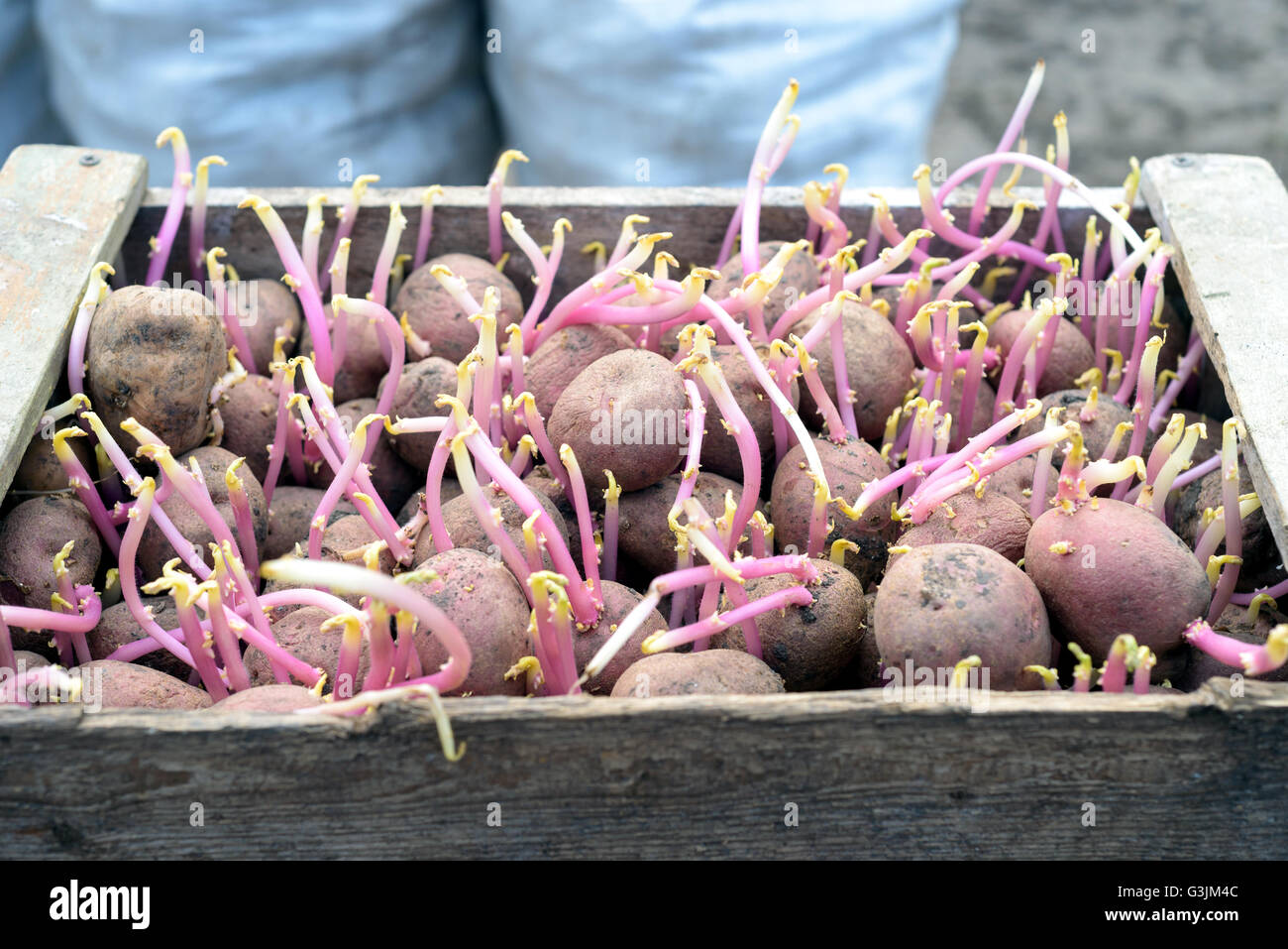 Chit container hi-res stock photography and images - Alamy