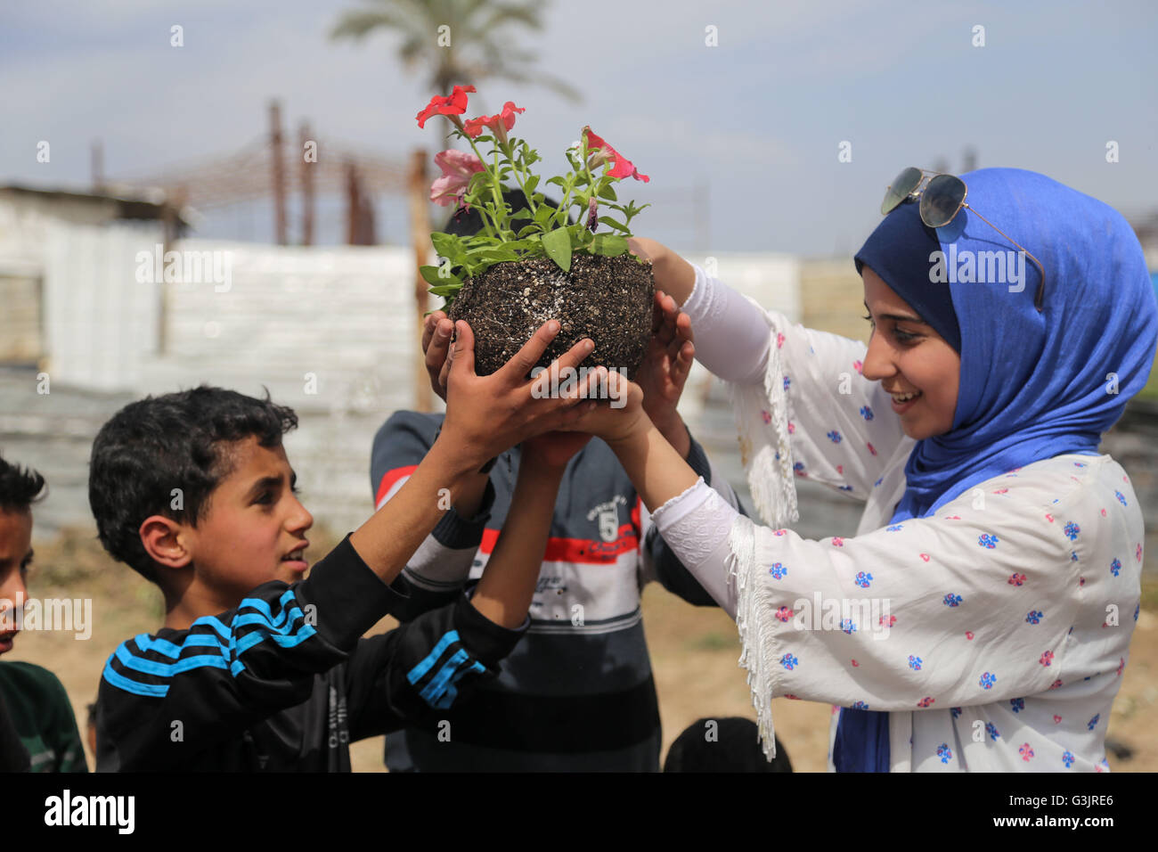 Gaza, Gaza. 24th Mar, 2016. Palestinian children are planting roses and ...