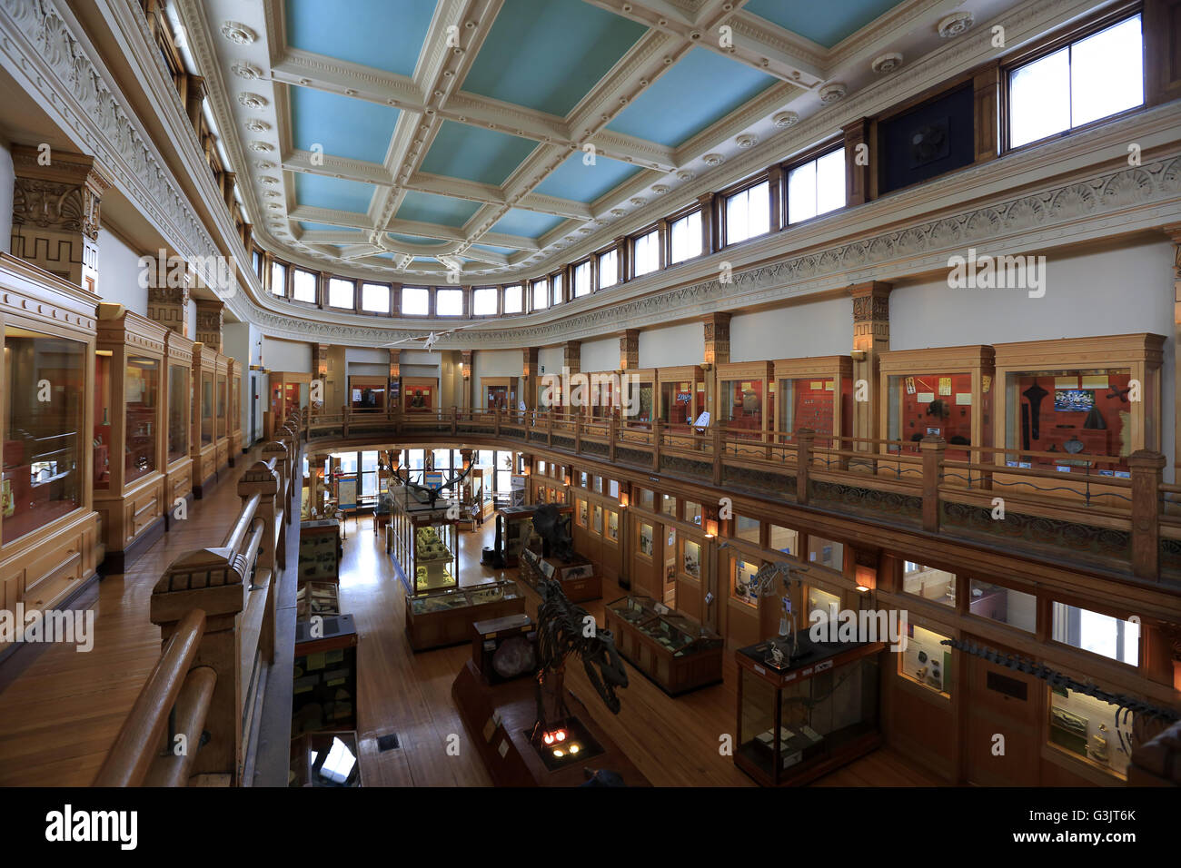 The exhibition hall of Redpath Museum in McGill University. Montreal ...