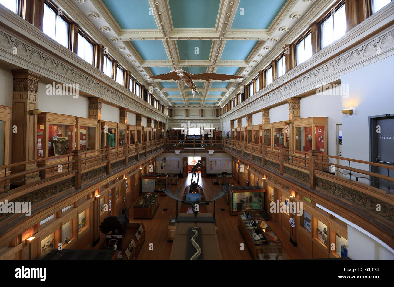 The exhibition hall of Redpath Museum in McGill University. Montreal ...
