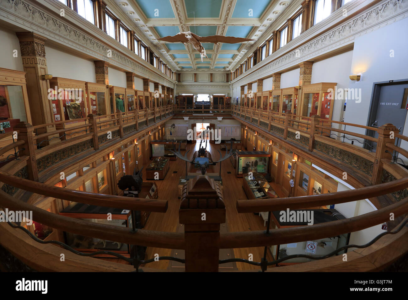 The exhibition hall of Redpath Museum in McGill University. Montreal ...