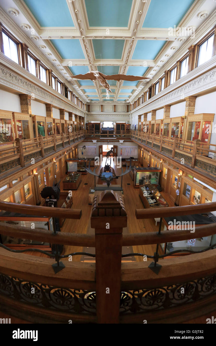 The exhibition hall of Redpath Museum in McGill University. Montreal ...