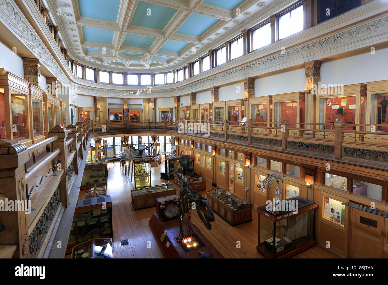 The exhibition hall of Redpath Museum in McGill University. Montreal ...