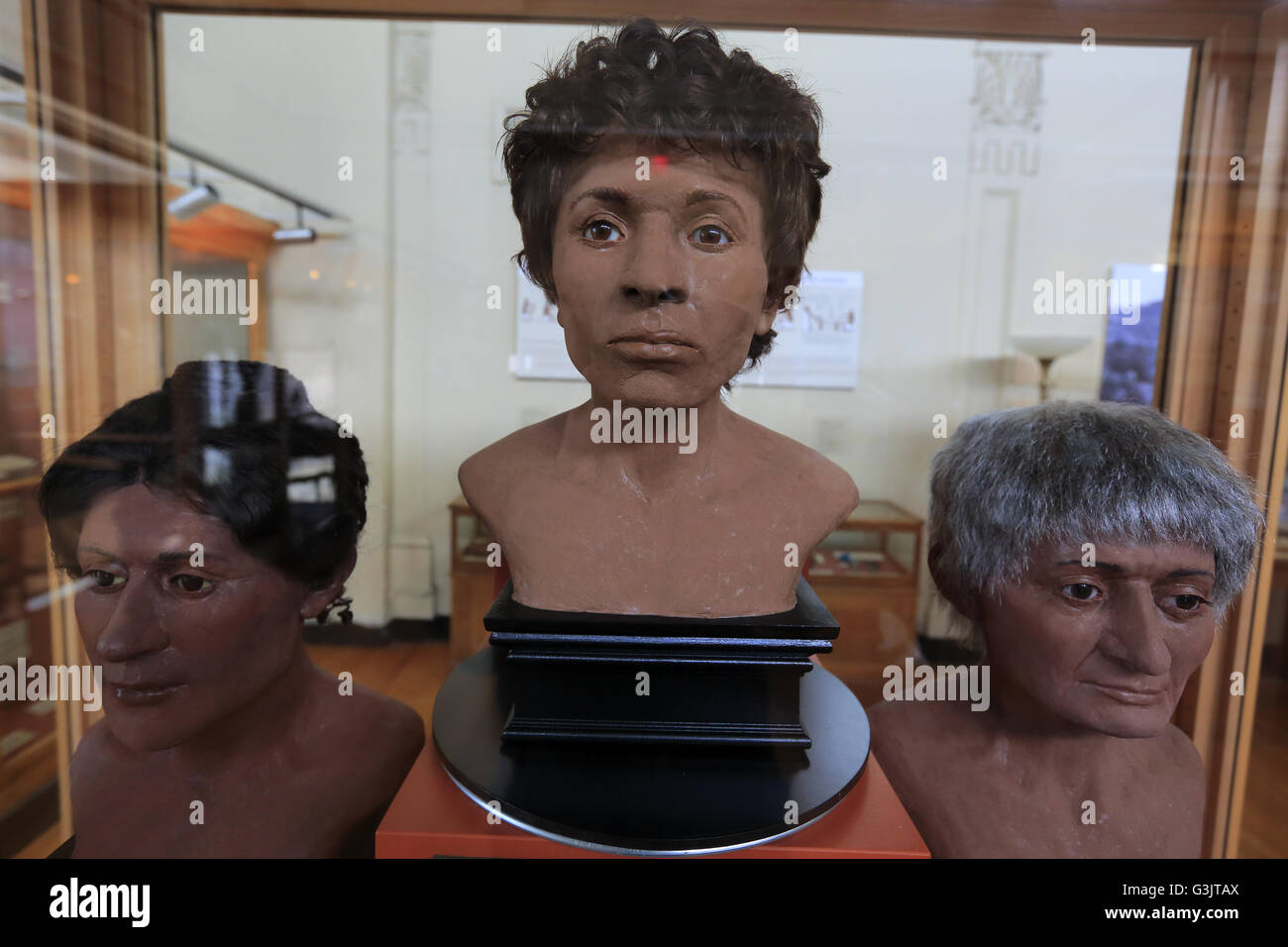 Ancient human head models display in Redpath Museum at McGill ...