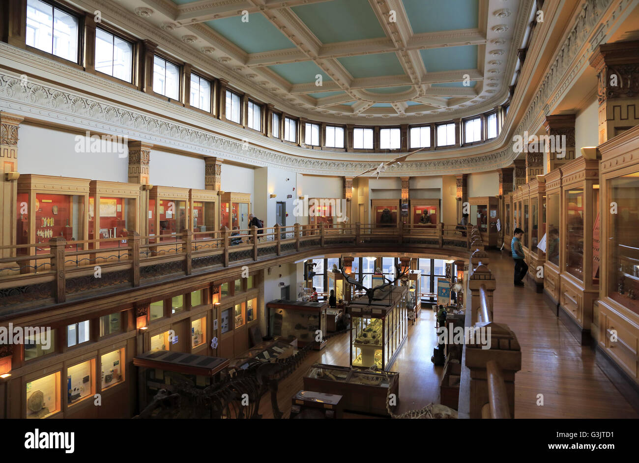 Interior view of Redpath Museum in McGill University. Montreal. Quebec ...