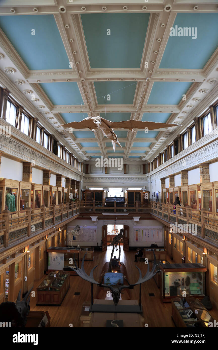 Interior view of Redpath Museum in McGill University. Montreal. Quebec ...